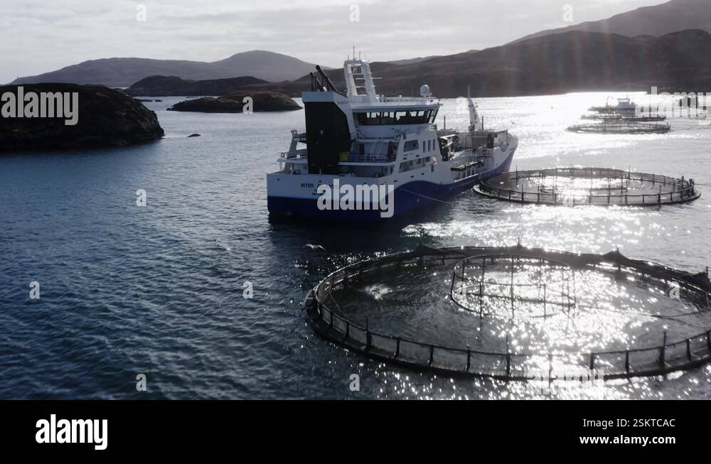 Fish farming pens Stock Videos & Footage - HD and 4K Video Clips - Alamy