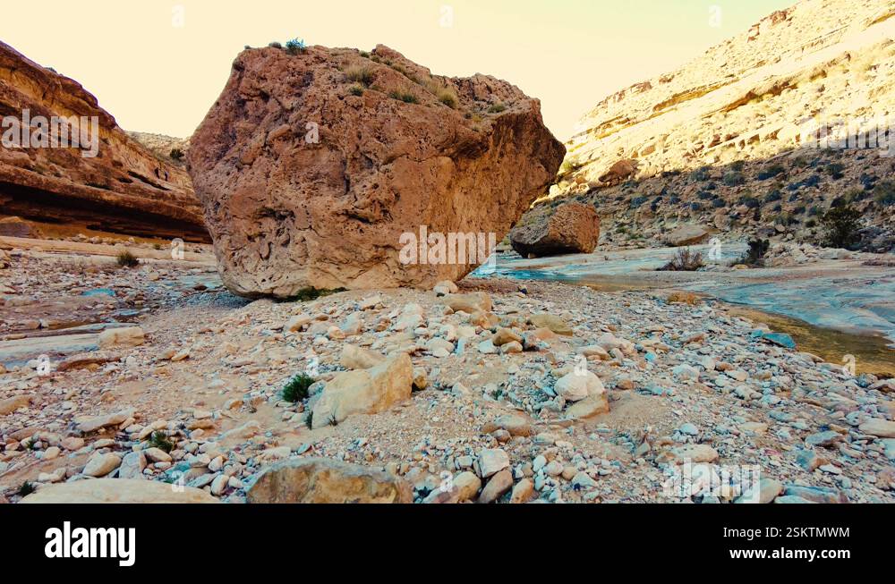a river in the middle of the sahara desert Algeria Biskra Stock Video ...