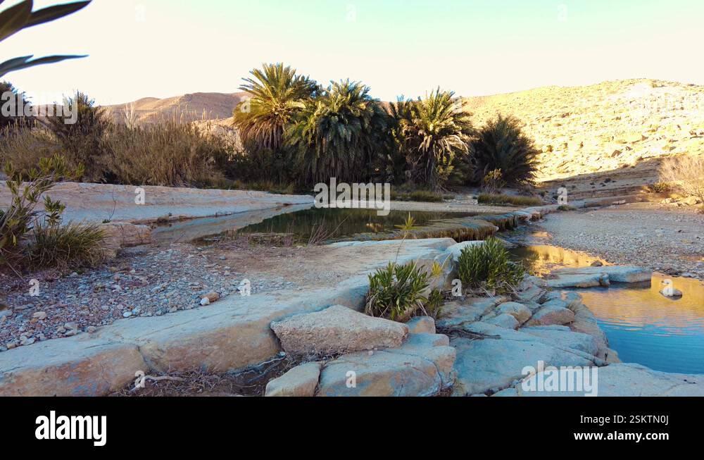 a river in the middle of the sahara desert Algeria Biskra Stock Video ...