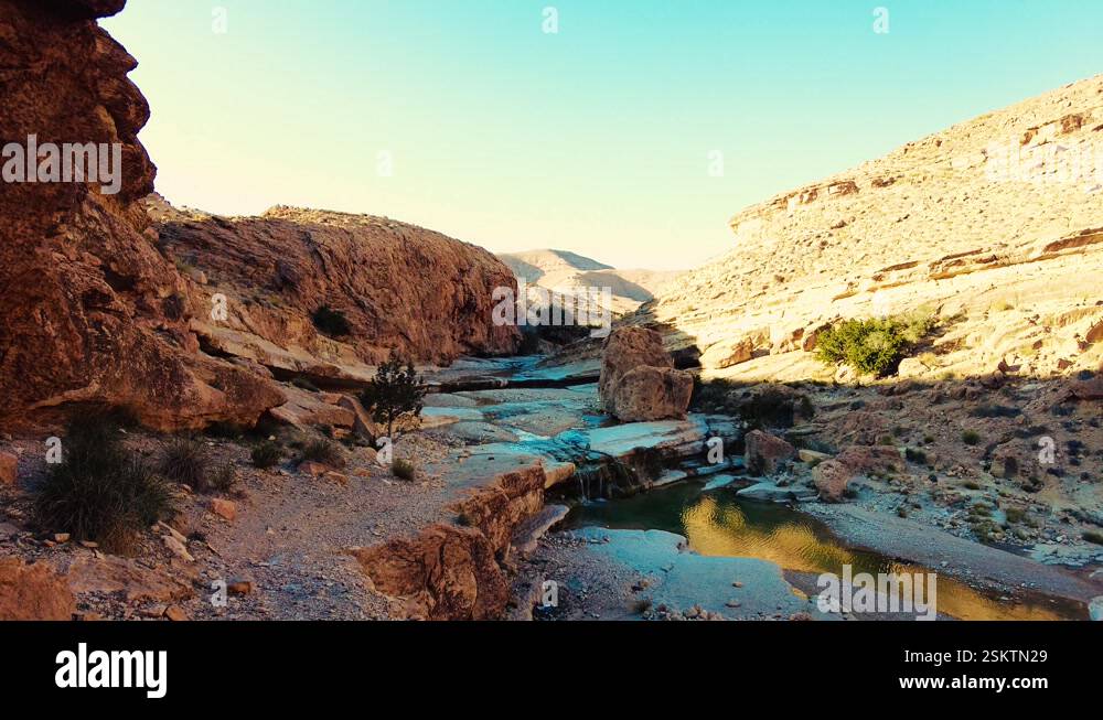 a river in the middle of the sahara desert Algeria Biskra Stock Video ...