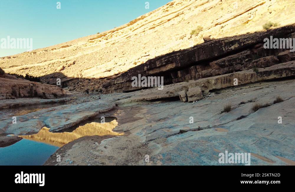 a river in the middle of the sahara desert Algeria Biskra Stock Video ...