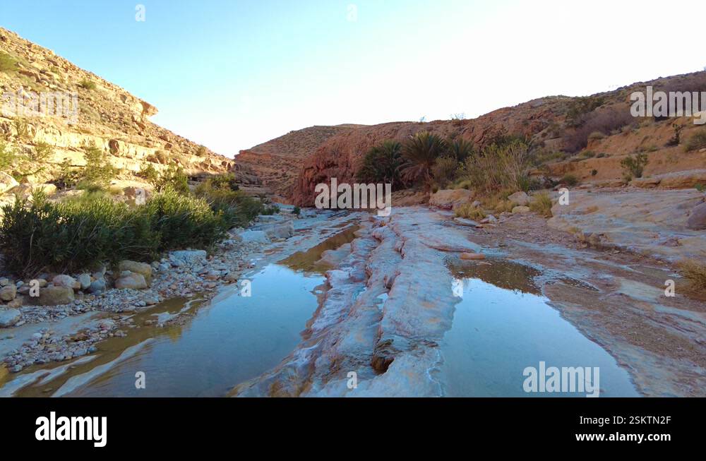 a river in the middle of the sahara desert Algeria Biskra Stock Video ...