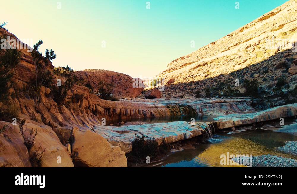 a river in the middle of the sahara desert Algeria Biskra Stock Video ...