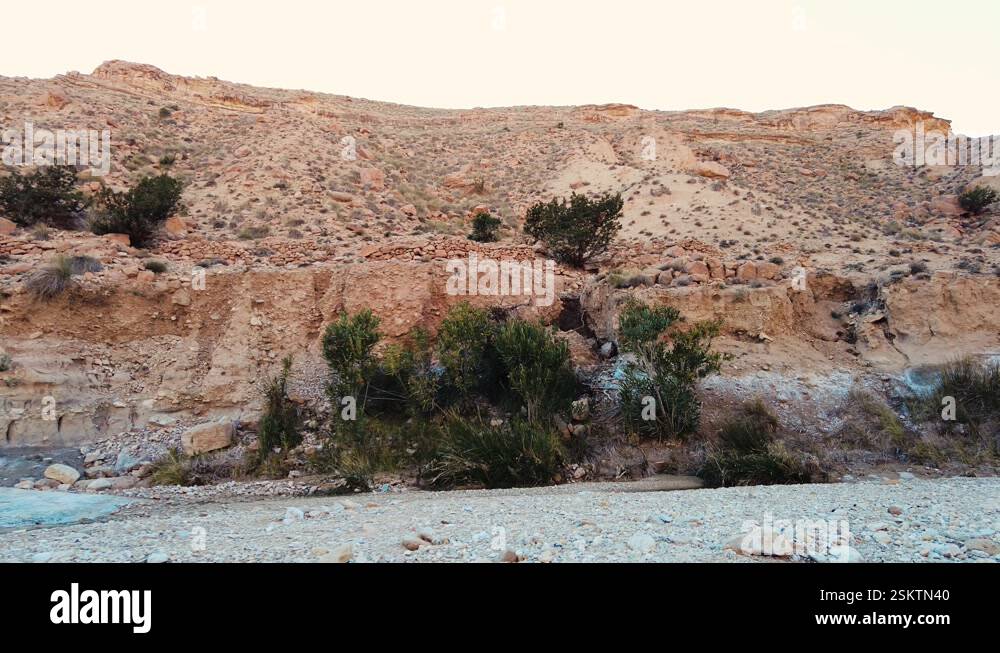 a river in the middle of the sahara desert Algeria Biskra Stock Video ...