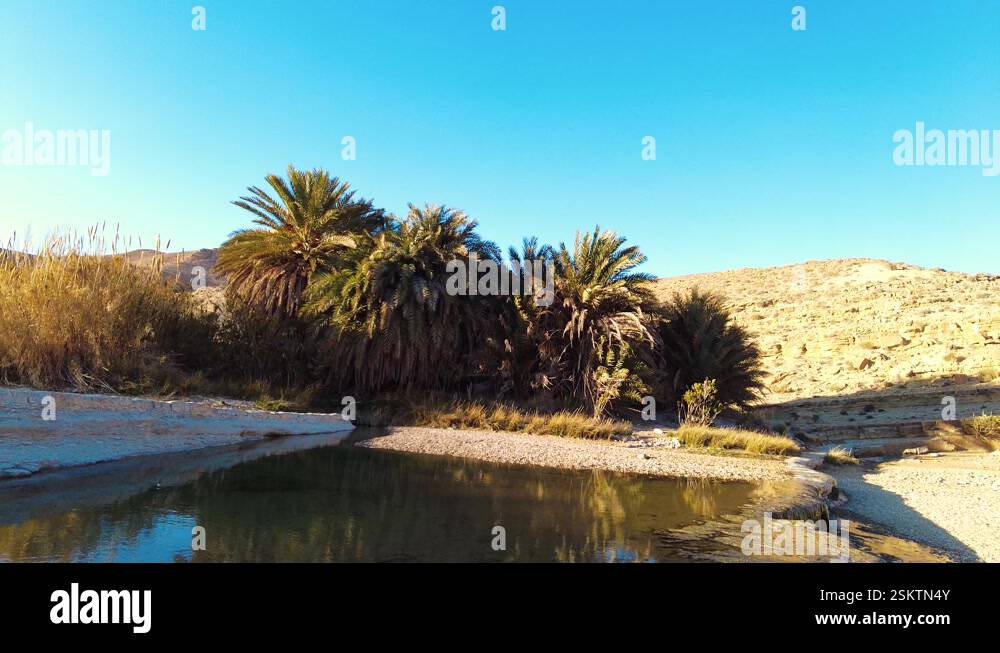 a river in the middle of the sahara desert Algeria Biskra Stock Video ...
