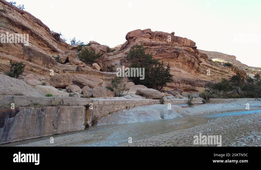 a river in the middle of the sahara desert Algeria Biskra Stock Video ...
