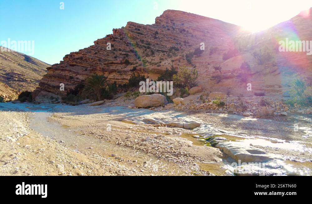 a river in the middle of the sahara desert Algeria Biskra Stock Video ...