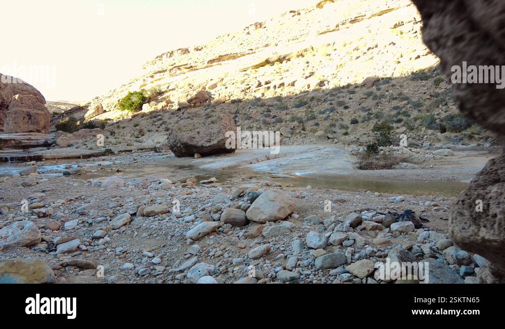 a river in the middle of the sahara desert Algeria Biskra Stock Video ...