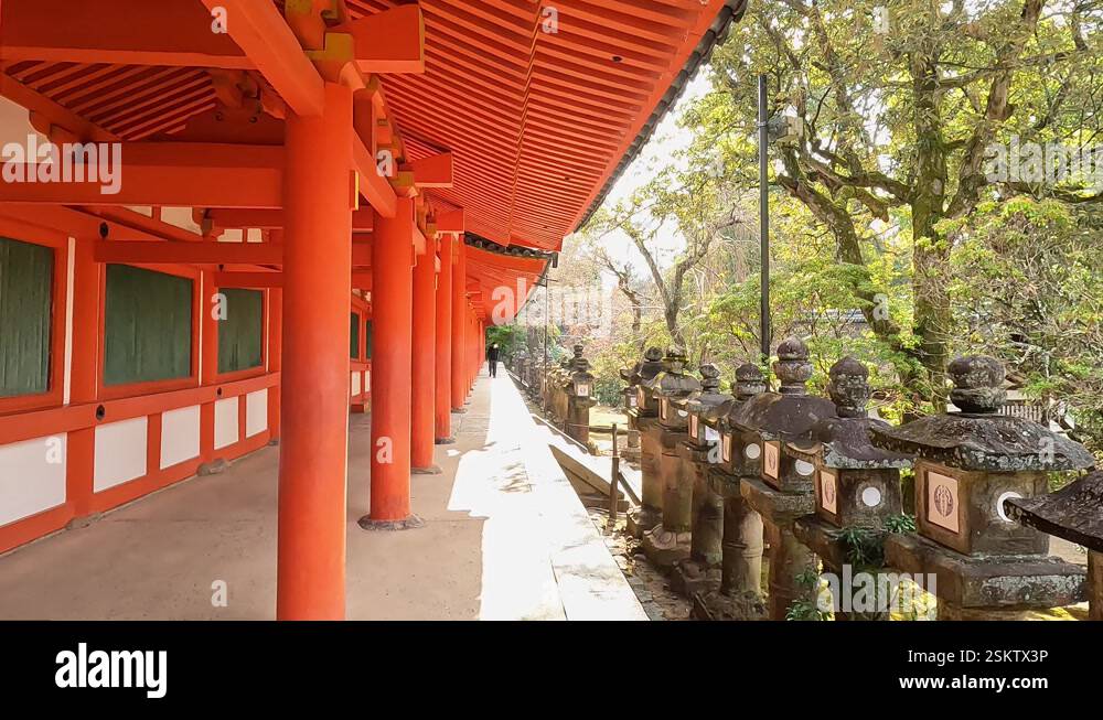 Kasuga taisha shrine temple Stock Videos & Footage - HD and 4K Video ...