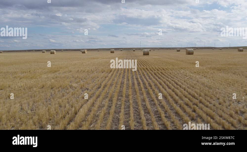 Hay silo bales Stock Videos & Footage - HD and 4K Video Clips - Alamy
