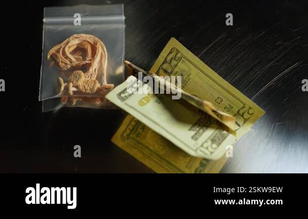 Table of drug dealer with Magic mushrooms in small bag. Psychedelic ...