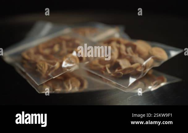 Magic Mushroom macro close up, Psilocybin psychedelic shrooms or Golden ...