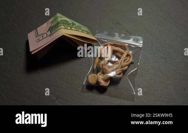 Table of drug dealer with Magic mushrooms in small bag. Psychedelic ...