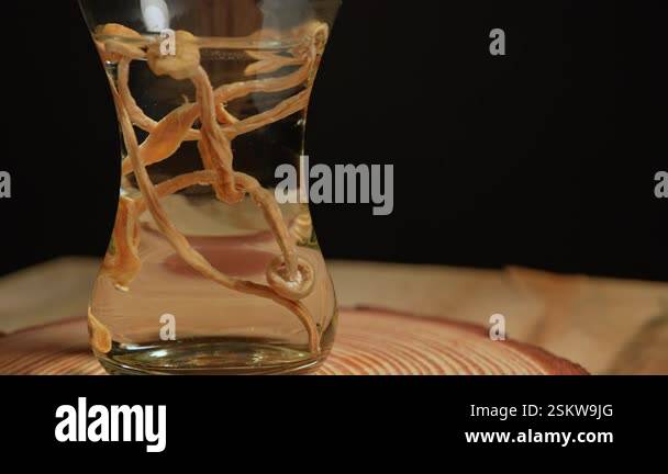 Psychedelic magic mushroom tea Stock Videos & Footage - HD and 4K Video ...