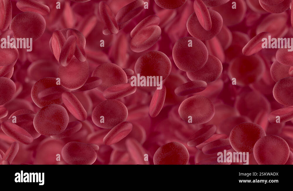 Red Blood Cells Swirl Background LOOPTILE. This footage is loopable and ...