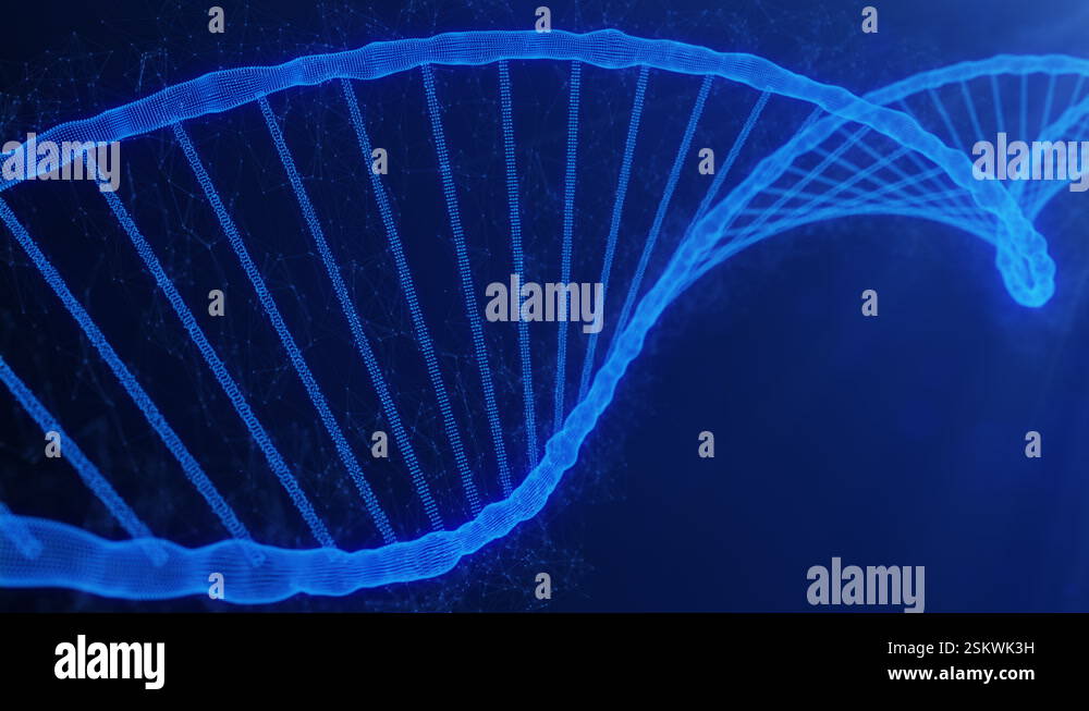 3d animation with blue colored dna strand rotates and decay by the ...