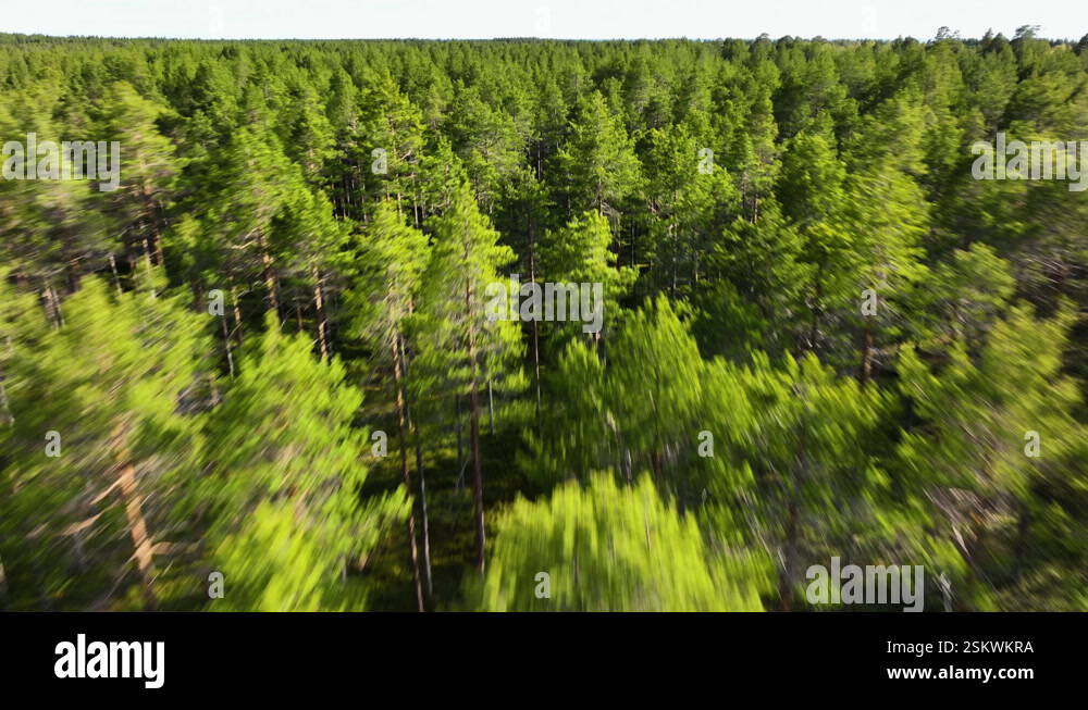 Nordic spring Stock Videos & Footage - HD and 4K Video Clips - Alamy