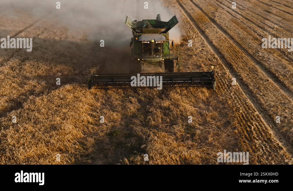 John Deere grain harvester at work. Combine harvester with straw ...