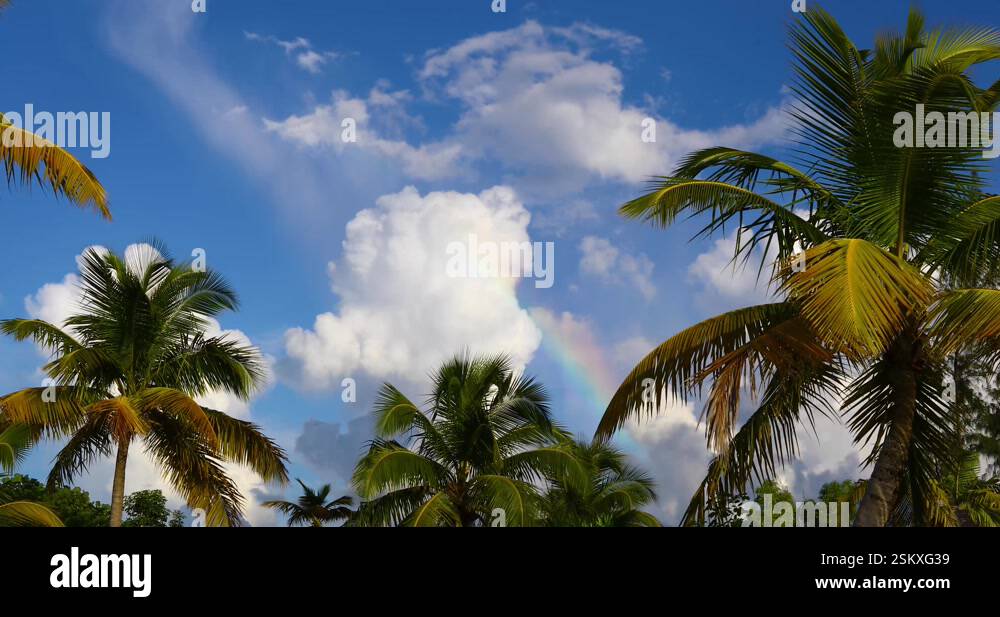 Static video of a tropical beach scene on Exuma in the Bahamas with ...