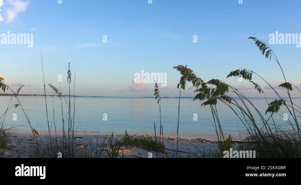Static video of a beach scene in Hoopers Bay on Exuma in the Bahamas ...