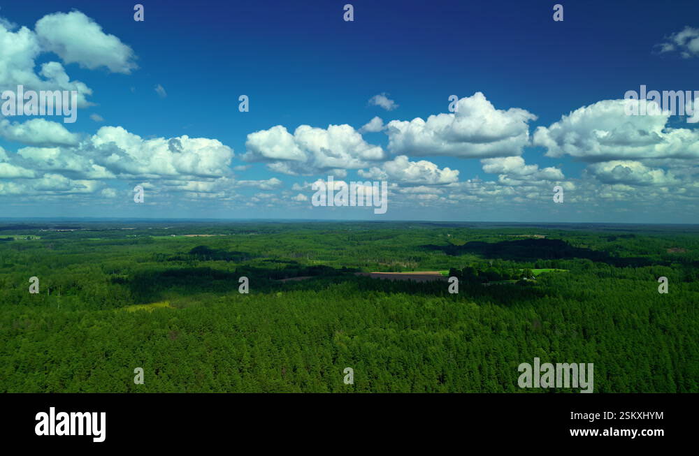High bird's eye view in a blue sky with white clouds above vast forests ...
