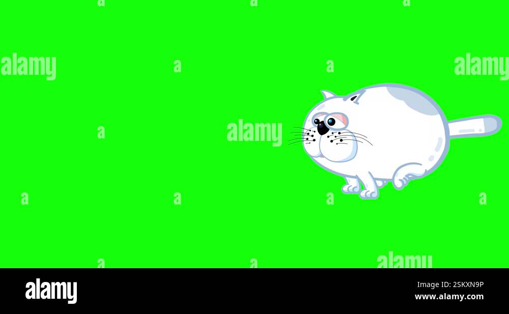 Cartoon white fat cat run medium greenbox isolated Stock Video Footage ...