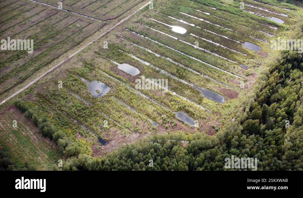 Flooded pits after peat extraction. Restoration after mining. Aerial ...