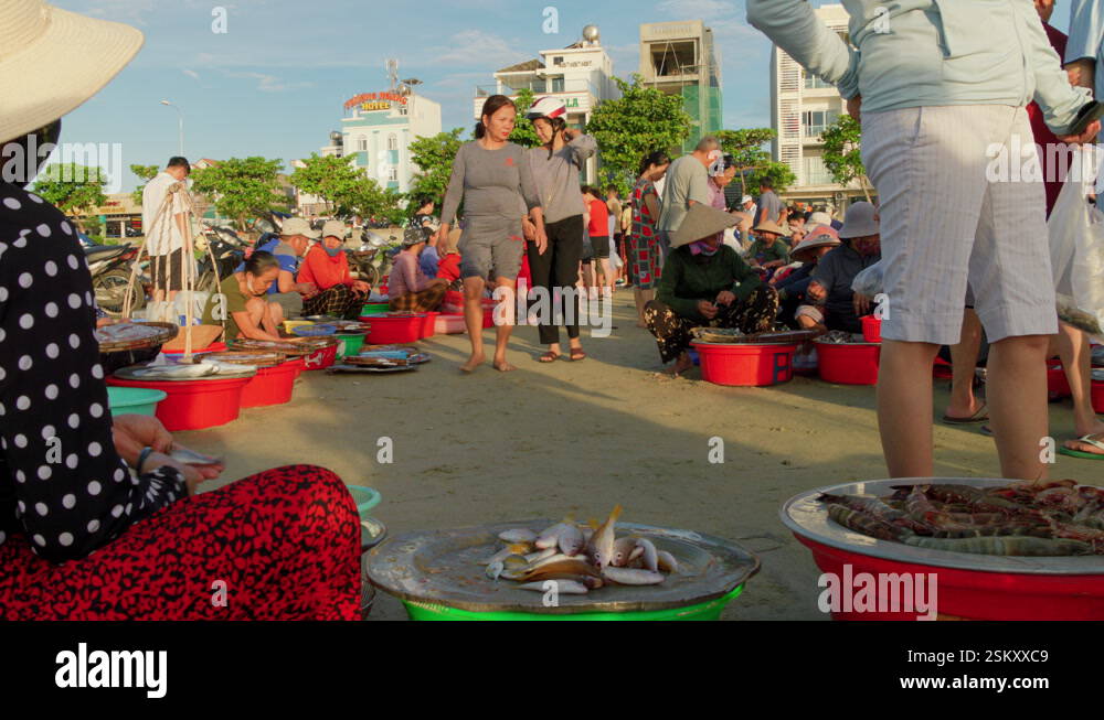 Medium low angle view of fish market women gutting and cleaning while ...