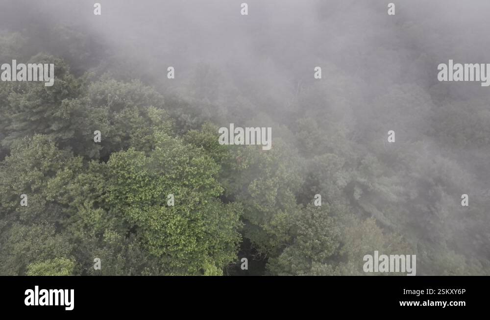 fog blows over the treetops aerial in appalachian mountain and blue ...