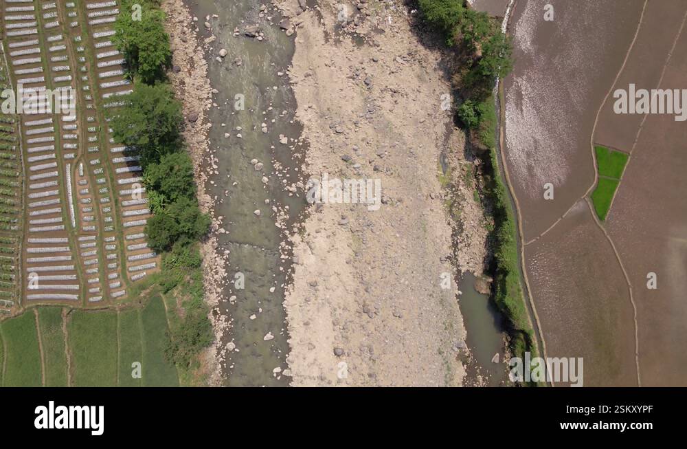 Aerial top down shot of small water stream river in dry season in ...