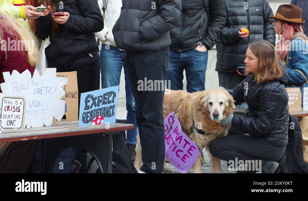 Climate activist Greta Thunberg pets dog at demonstration, close view ...