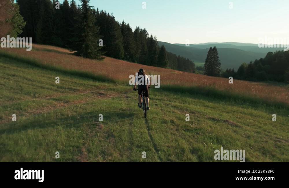 An exhilarating downhill ride of a mountain biker through lush tall ...