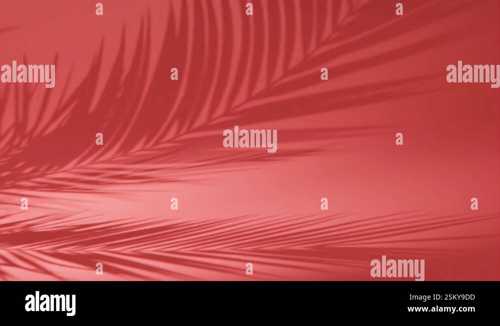 Red palm leaves background Stock Videos & Footage - HD and 4K Video ...