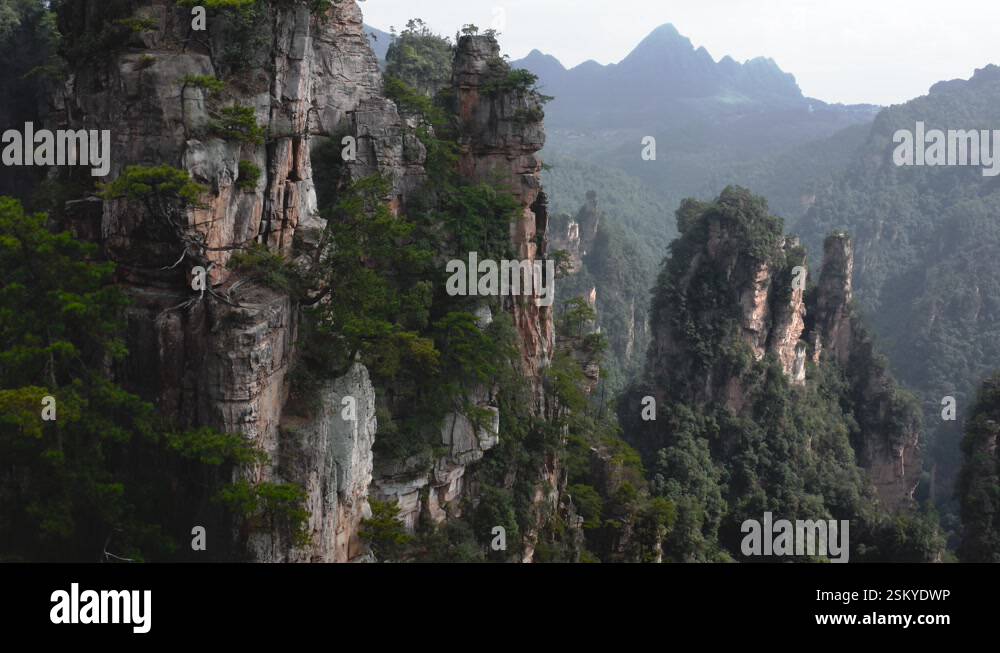 Tilt up aerial view revealing height of Zhangjiajie stone pillars Stock ...