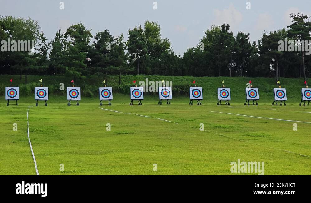 Target boards Stock Videos & Footage - HD and 4K Video Clips - Alamy