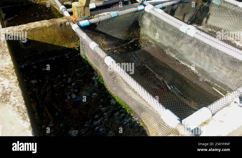 Cement baskets Stock Videos & Footage - HD and 4K Video Clips - Alamy