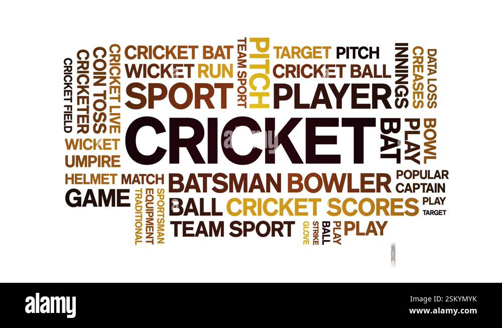 Cricket animated word cloud,animation text kinetic typography seamless ...