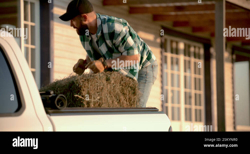 Portrait of Caucasian male farmer unloading hay bays from the pickup ...