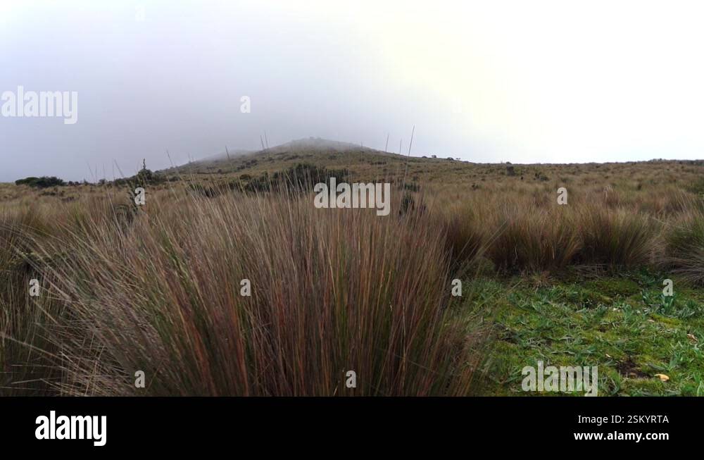 Beautiful view of the volcanoes from the top of the Pichincha volcano ...