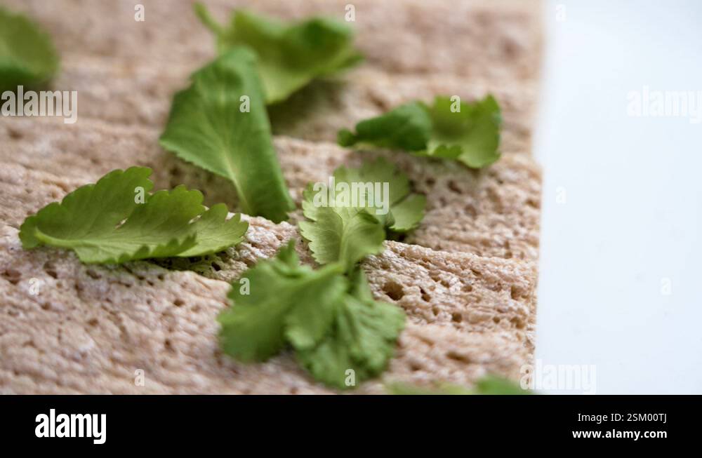 Wholesome crackers from buckwheat with falling cilantro leaf Stock ...