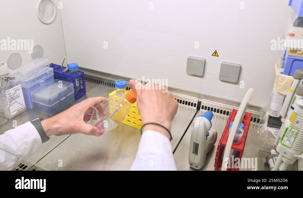 Chemistry laboratory setup featuring a modern fume hood for safety ...