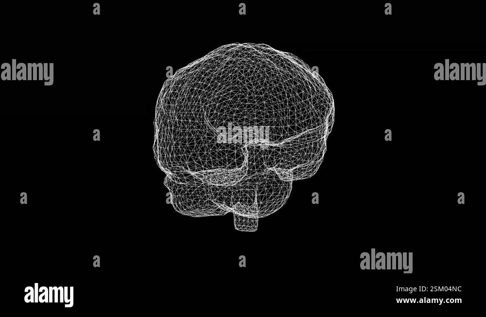 Spinning 3d wireframe brain motion graphics with plain black background ...
