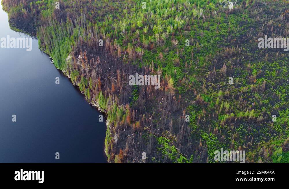 Quebec forest fire Stock Videos & Footage - HD and 4K Video Clips - Alamy