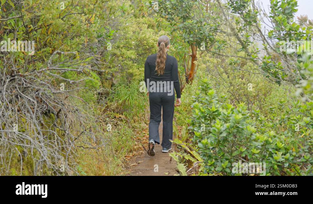 Female tourist walks through bushes along path to Guimar valley ...
