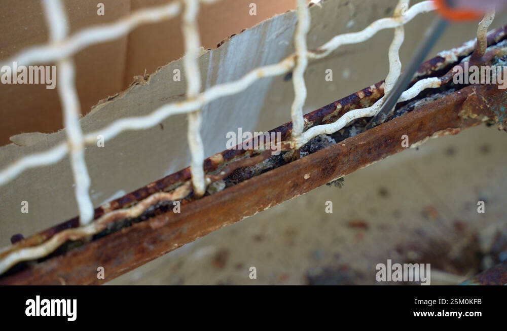 Workman using skrewdriver to remove rusty debris from the corroded metal gate Stock Video ...