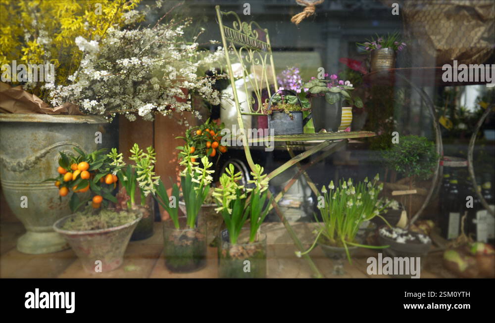 Traditional shop window display Stock Videos & Footage - HD and 4K ...