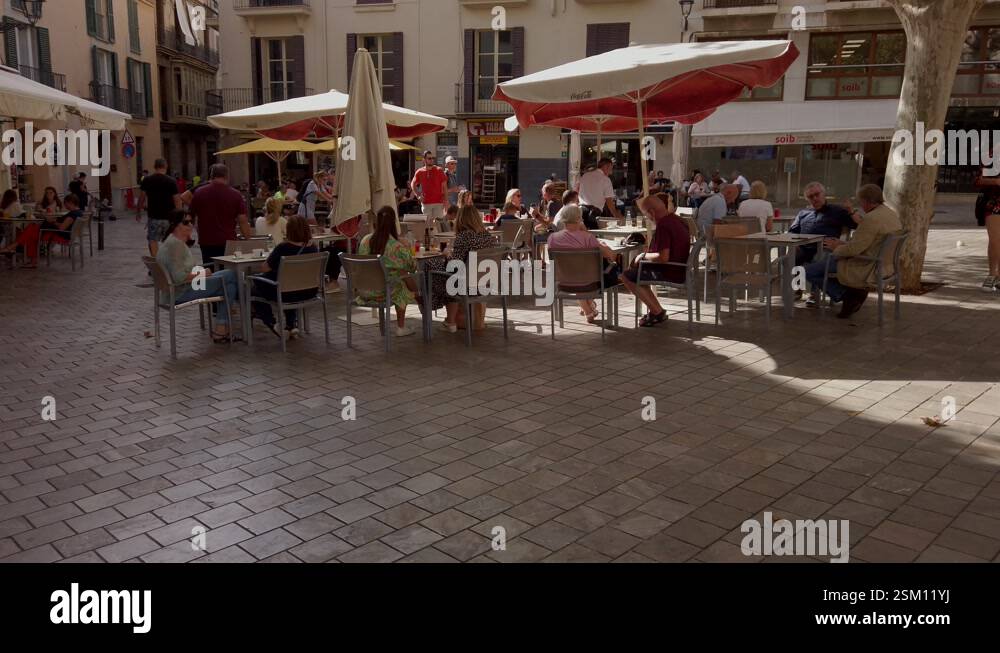 Majorca bar Stock Videos & Footage - HD and 4K Video Clips - Alamy