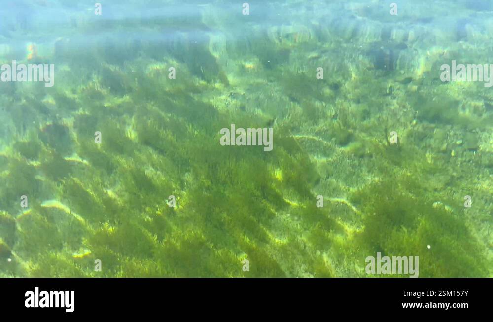 crystal clear water of the Colorado river tilting up to reveal the ...