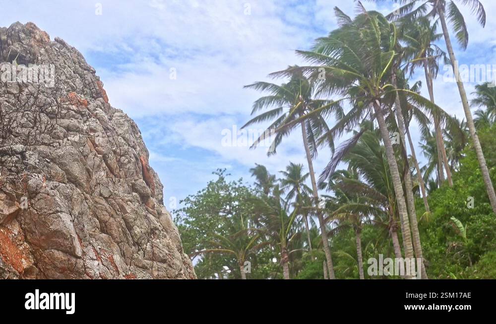 Banbanon Beach Trees and Huge Boulder Rock in Frame Againse Paradise ...