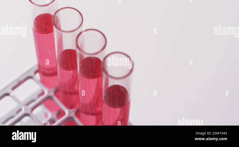 Video of glass laboratory test tubes with red liquid and copy space on ...